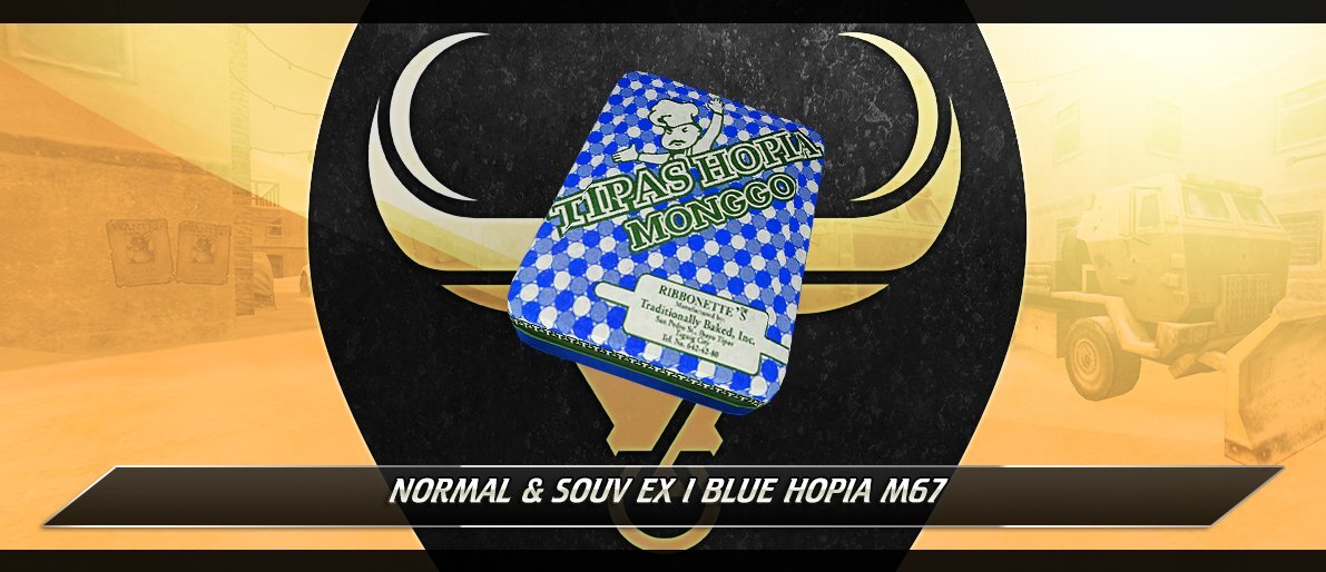 Portal - BullSF - Where Legit Players Unite